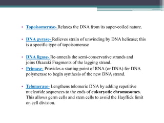 DNA replication | PPTX