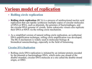 DNA replication | PPTX