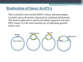 DNA replication | PPTX