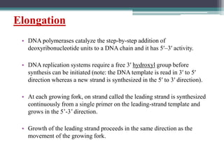 DNA replication | PPTX