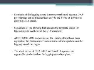DNA replication | PPTX