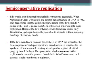 DNA replication | PPTX