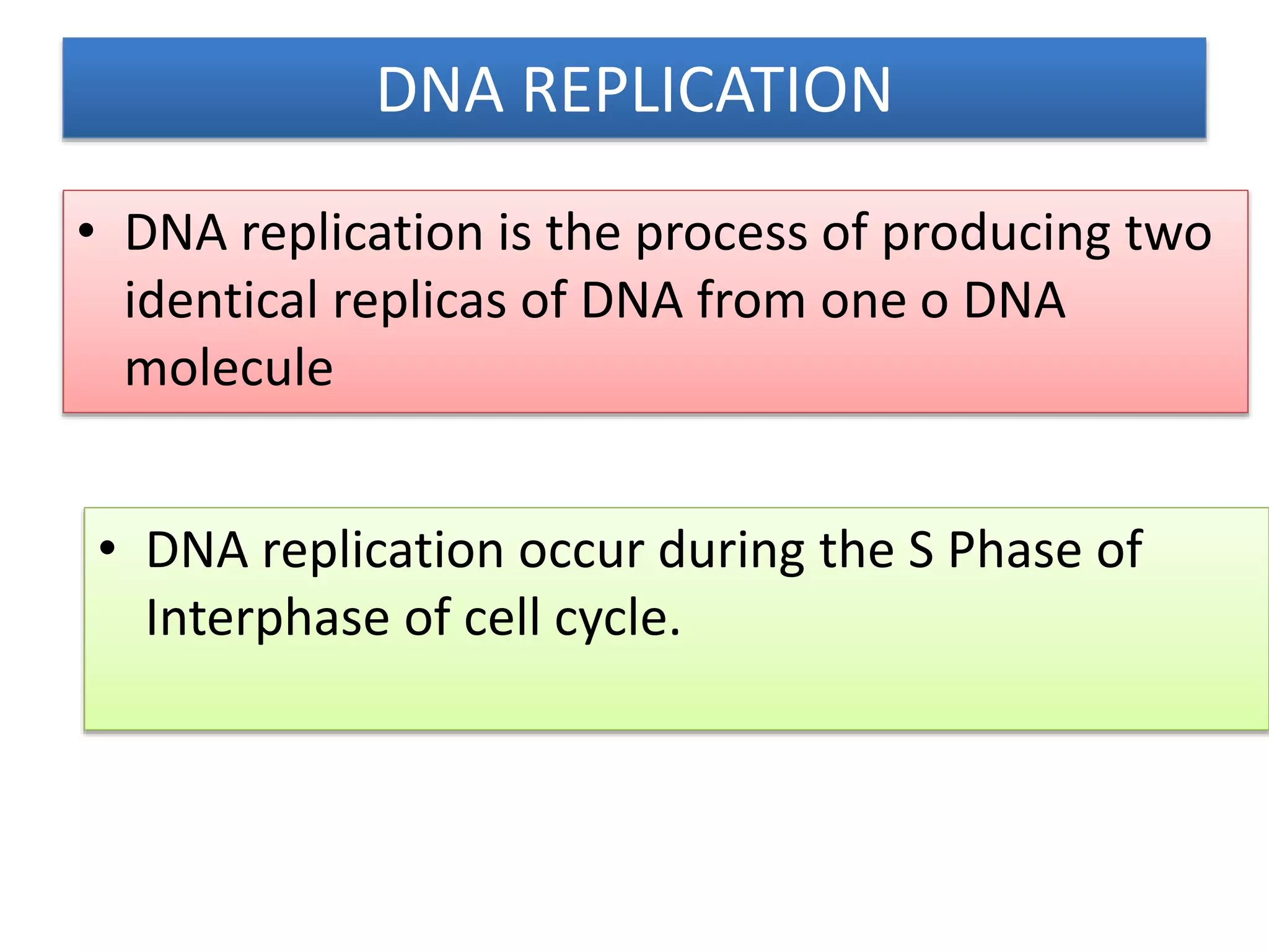 DNA REPLICATION | PPTX