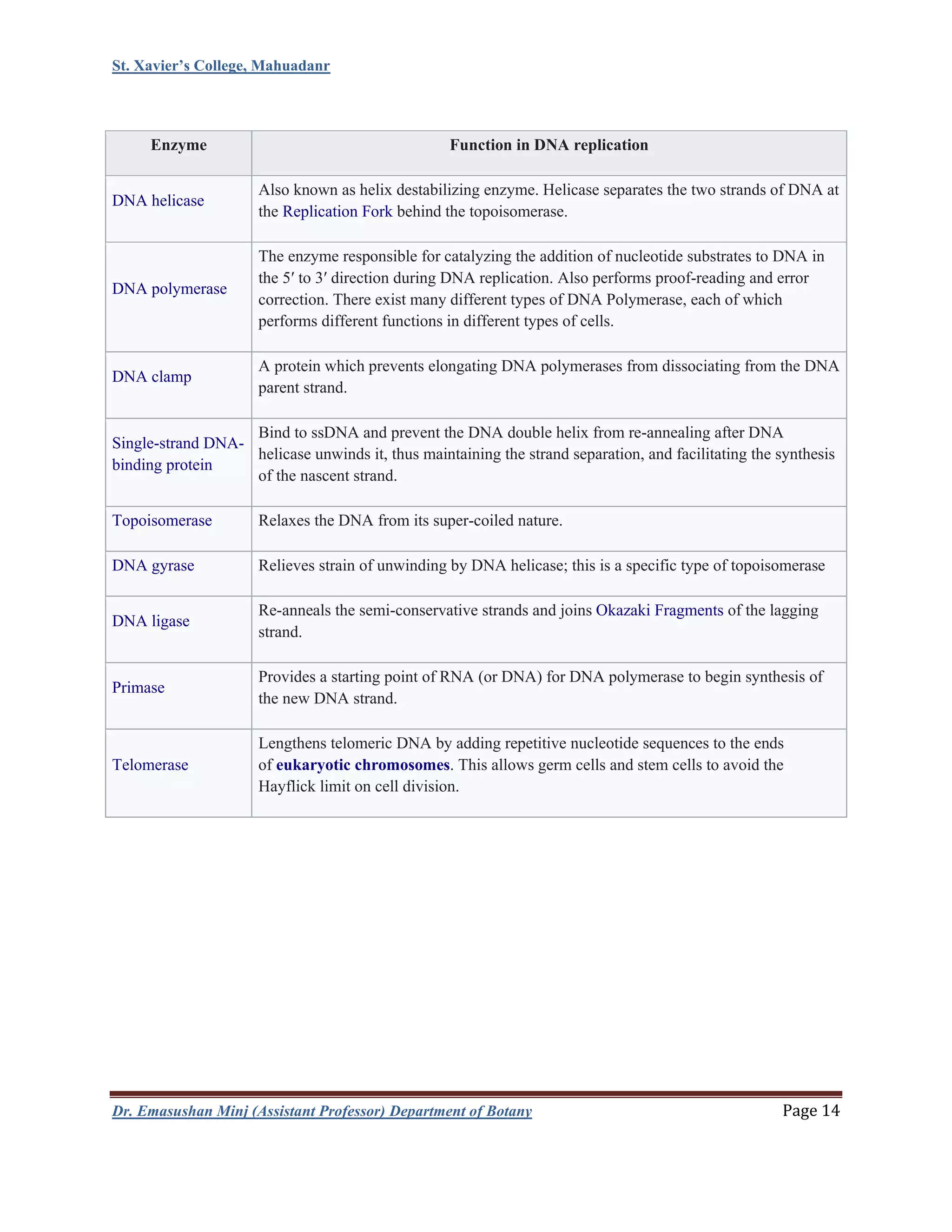 DNA replication | PDF