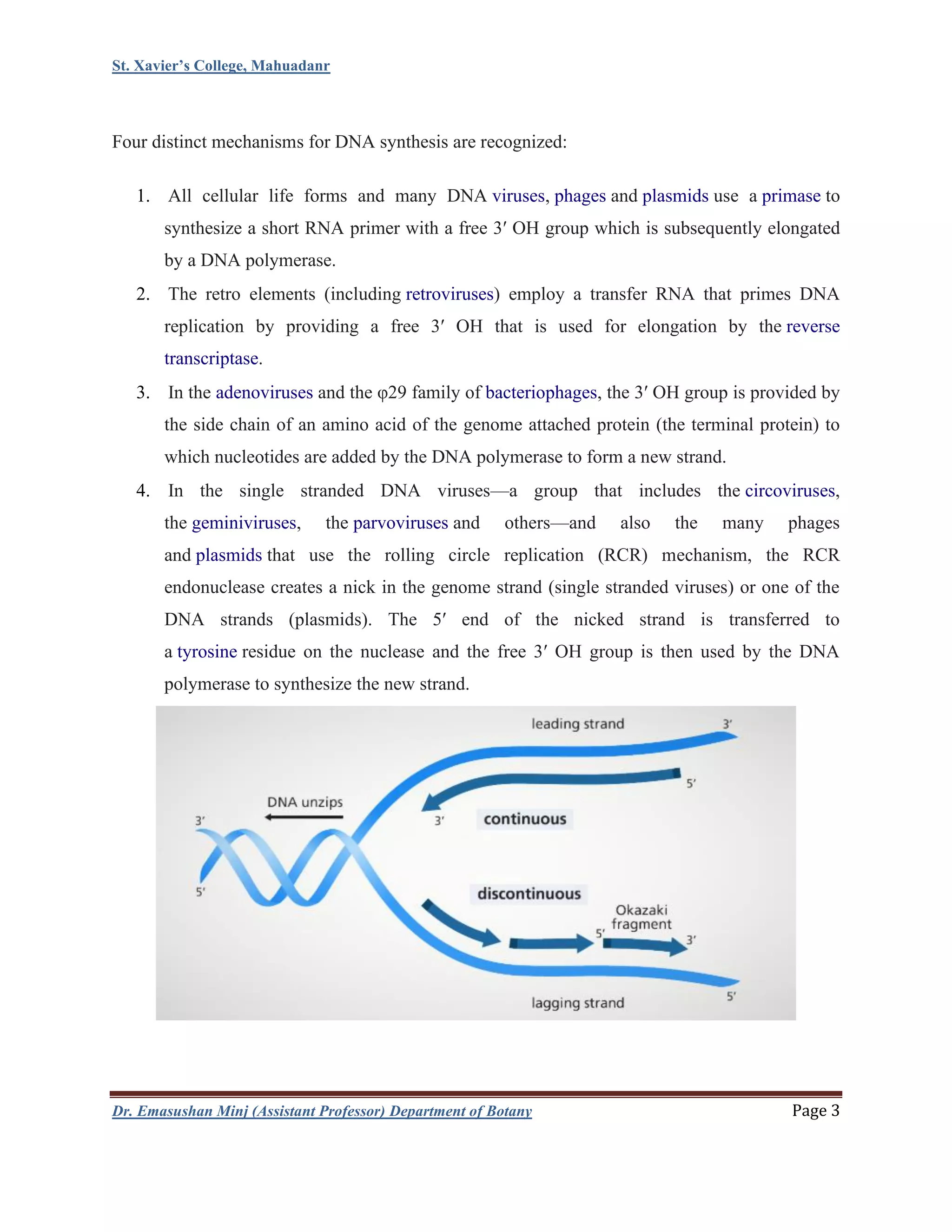 DNA replication | PDF