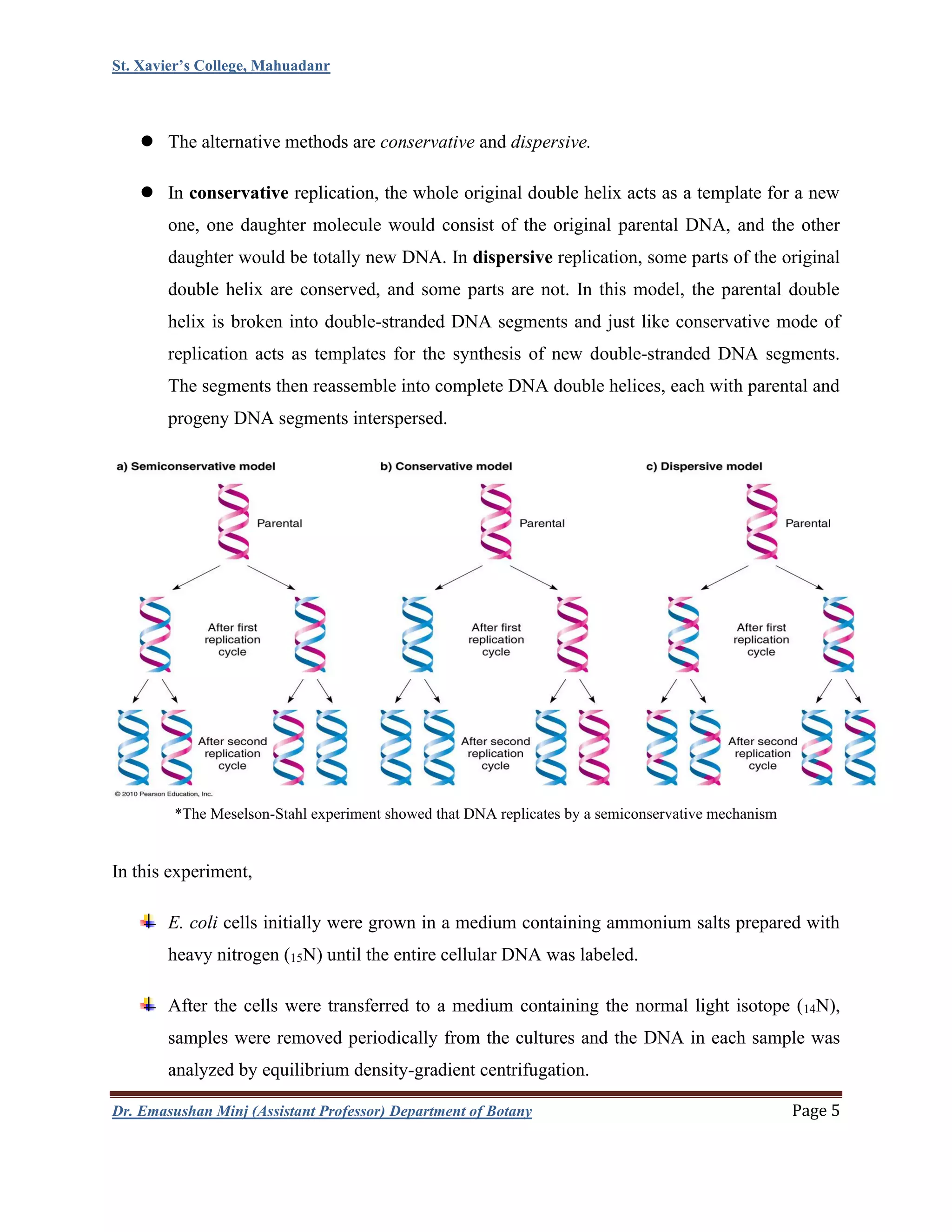 DNA replication | PDF