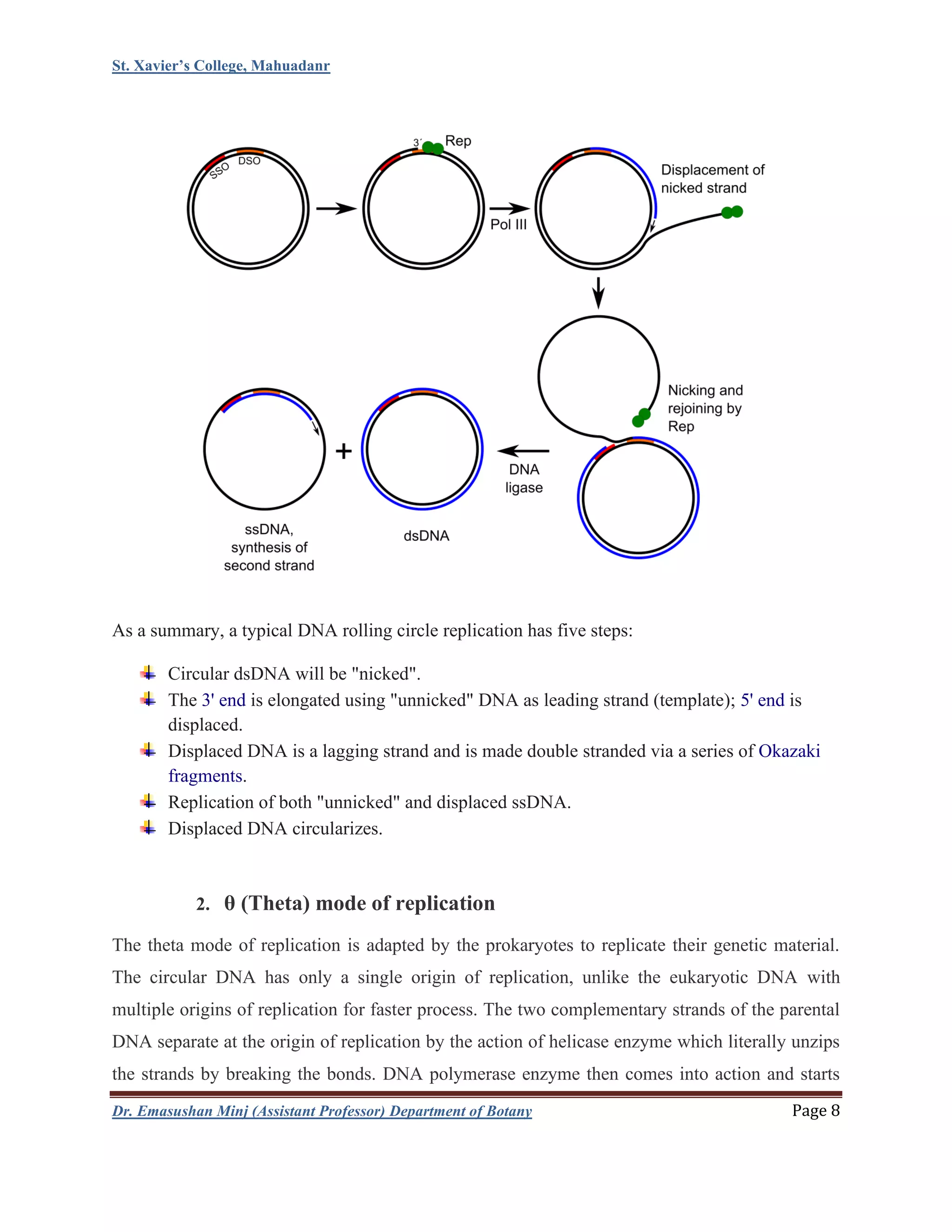 DNA replication | PDF