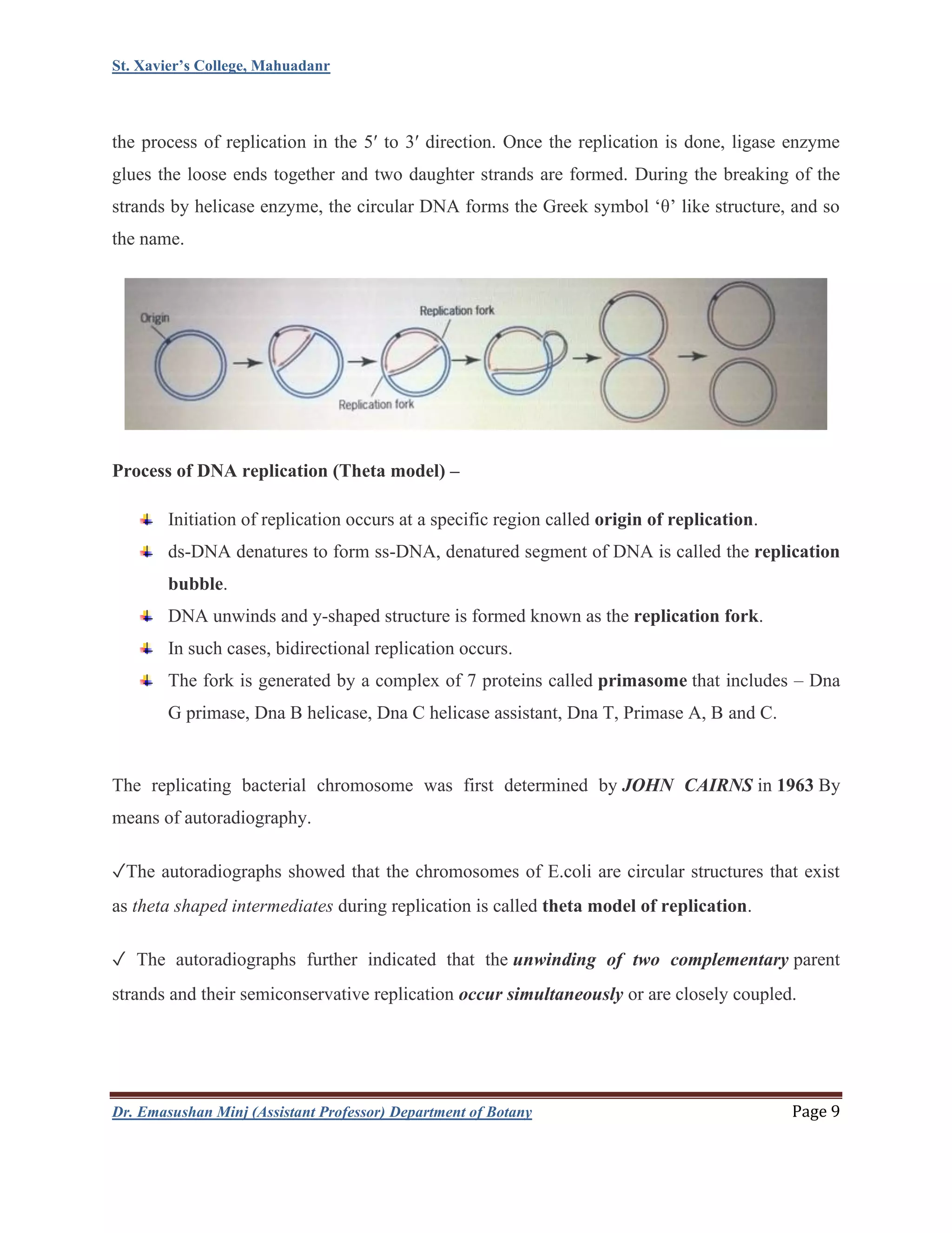 DNA replication | PDF