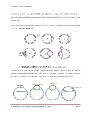 DNA replication | PDF