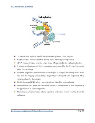 DNA replication | PDF