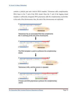 DNA replication | PDF