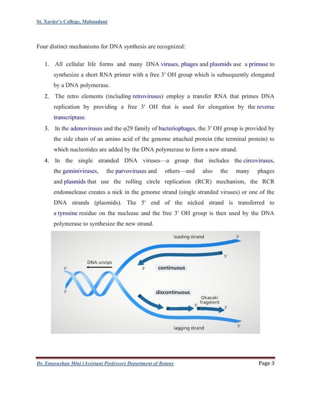 DNA replication | PDF