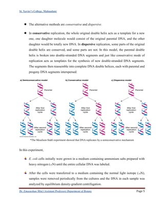DNA replication | PDF