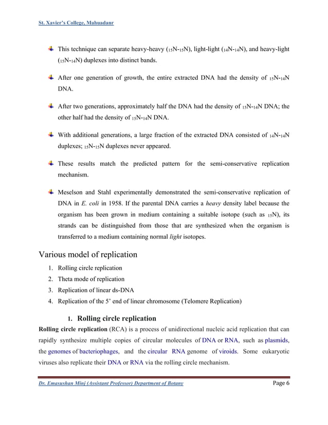 DNA replication | PDF