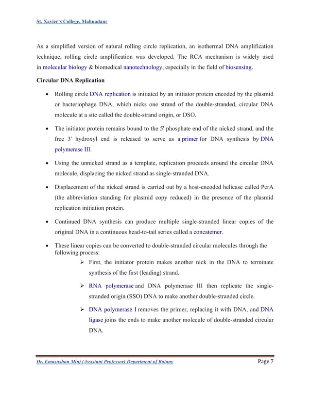 DNA replication | PDF