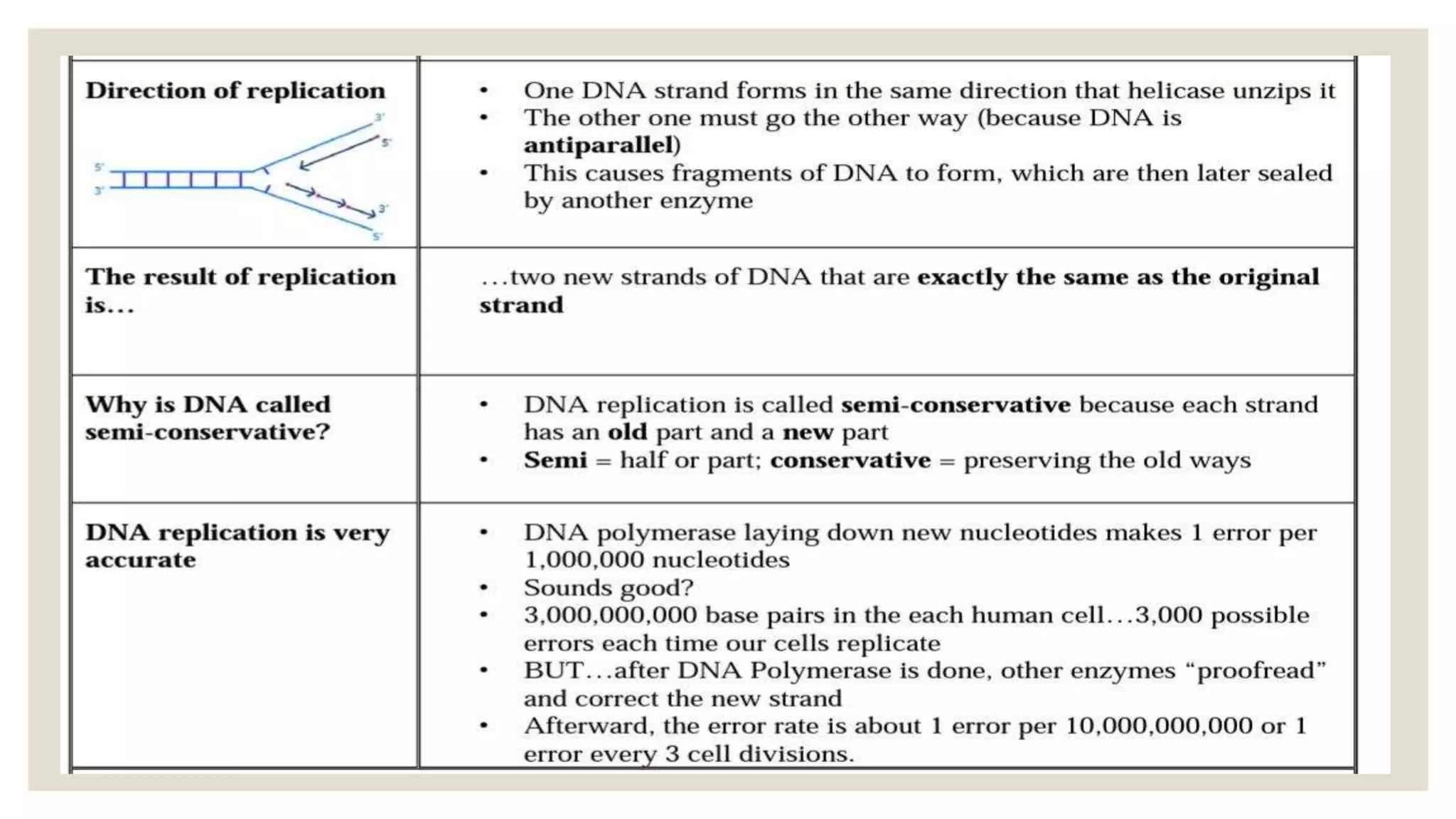 DNA Replication | PPTX