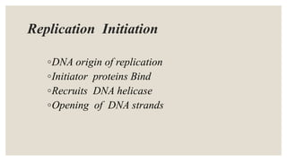 DNA Replication | PPTX