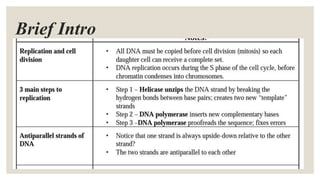 DNA Replication | PPTX
