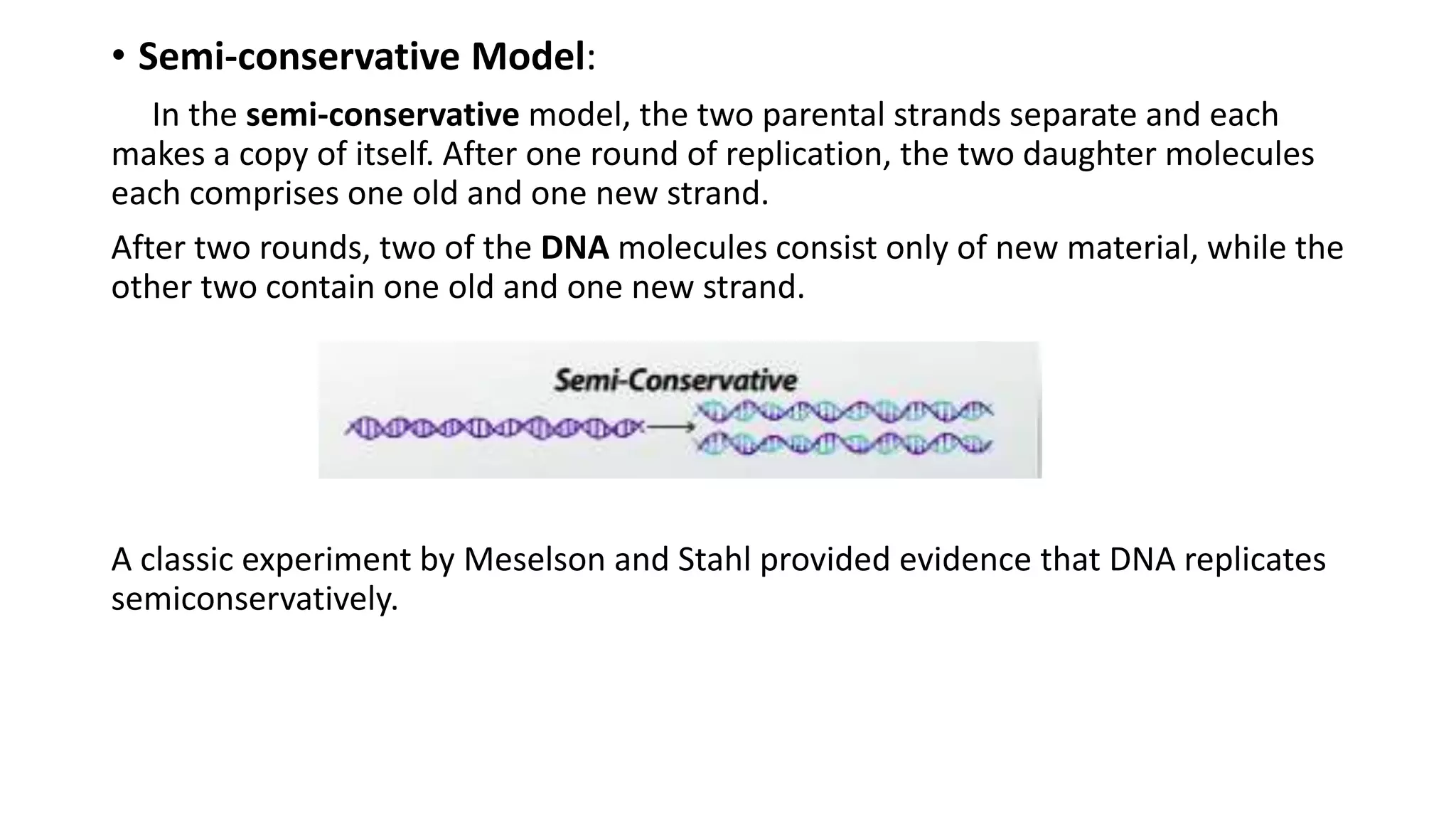 DNA replication | PPTX