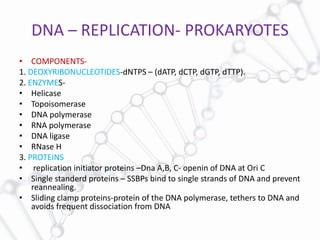Dna replication | PPTX
