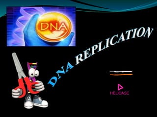 Dna replication | PPT