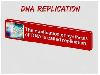 DNA Replication | PPTX