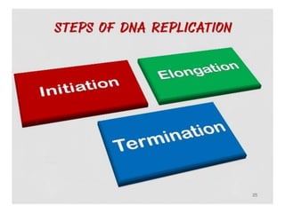DNA Replication | PPTX