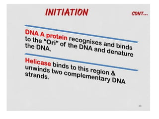 DNA Replication | PPTX