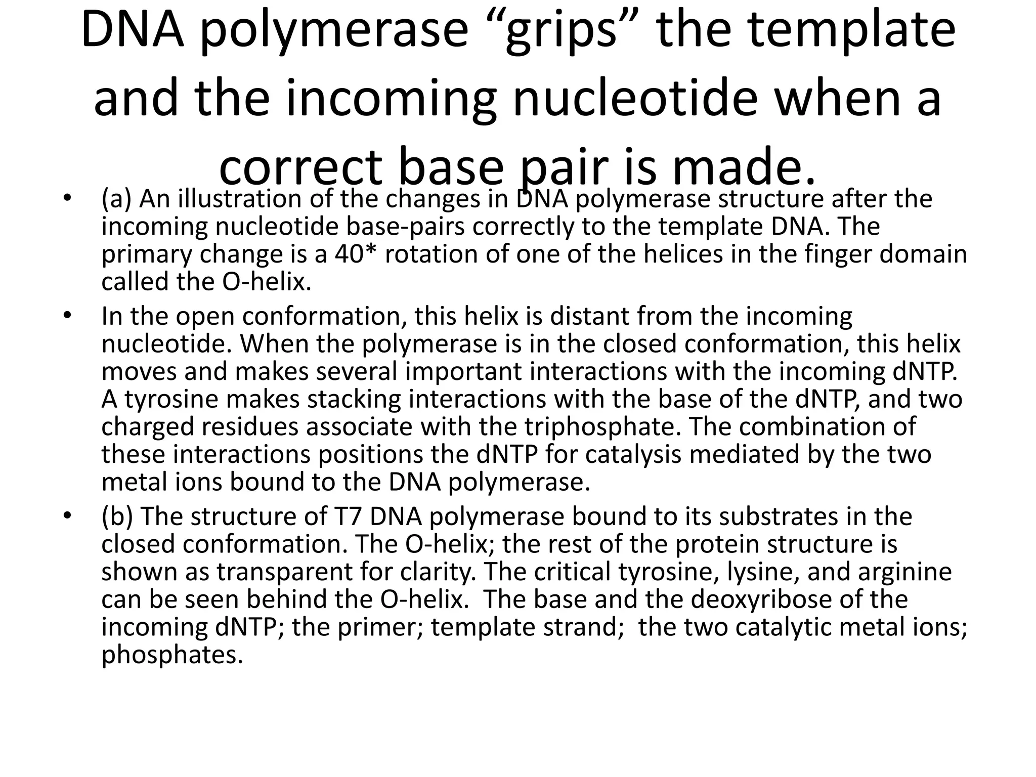 THE MECHANISM OF DNA POLYMERASE & CHEMICAL NATURTE TOPIC OF MOLECULAR ...