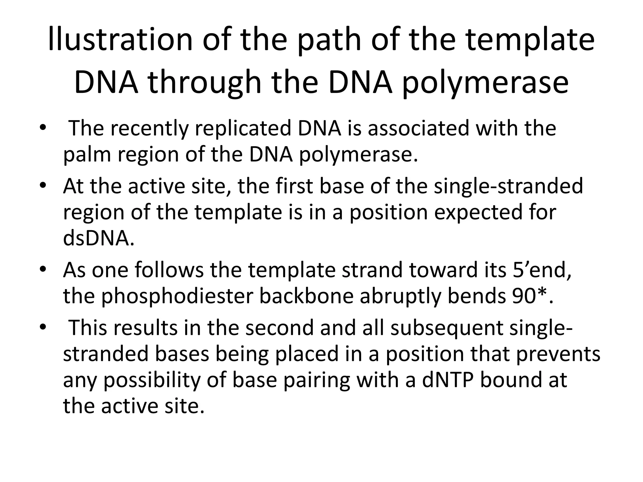 THE MECHANISM OF DNA POLYMERASE & CHEMICAL NATURTE TOPIC OF MOLECULAR ...