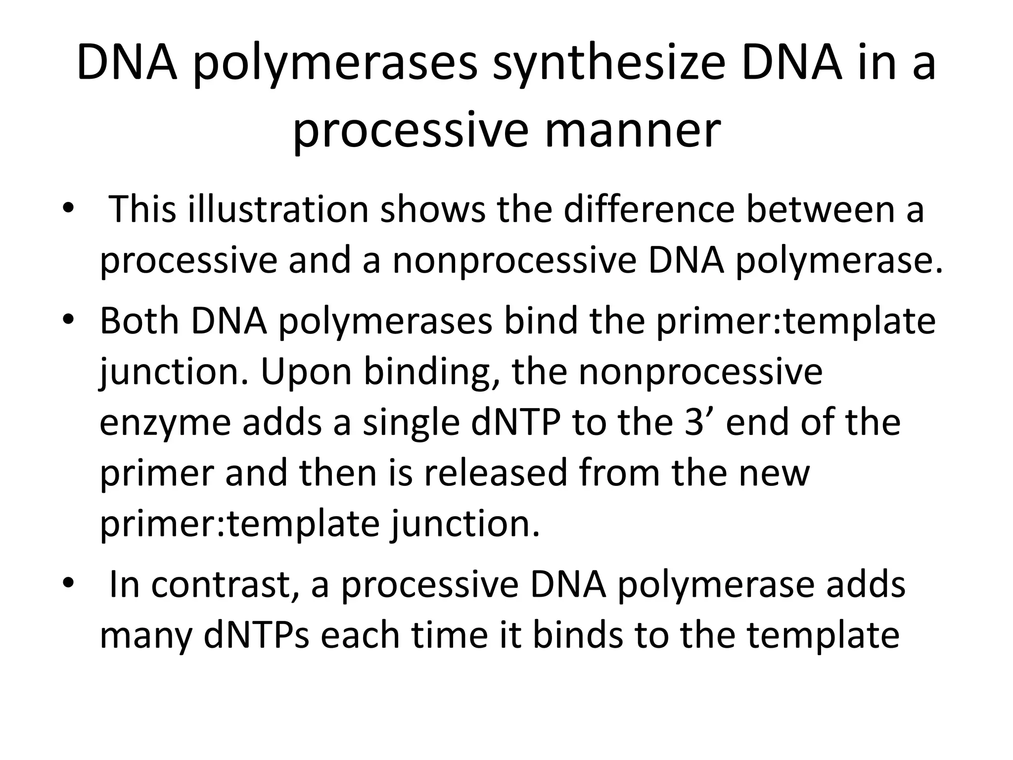 THE MECHANISM OF DNA POLYMERASE & CHEMICAL NATURTE TOPIC OF MOLECULAR ...