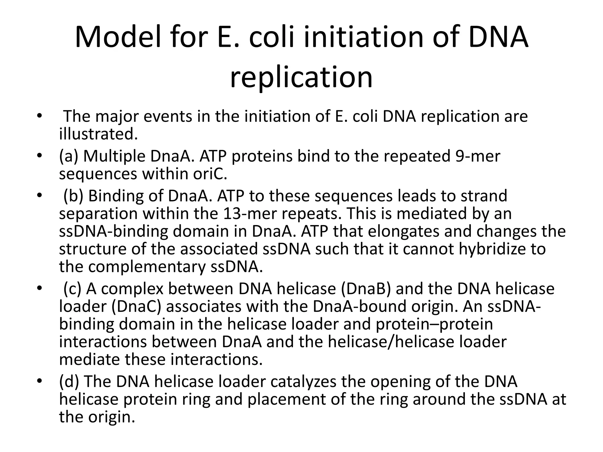 THE MECHANISM OF DNA POLYMERASE & CHEMICAL NATURTE TOPIC OF MOLECULAR ...