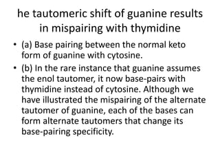 THE MECHANISM OF DNA POLYMERASE & CHEMICAL NATURTE TOPIC OF MOLECULAR ...
