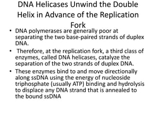 THE MECHANISM OF DNA POLYMERASE & CHEMICAL NATURTE TOPIC OF MOLECULAR ...