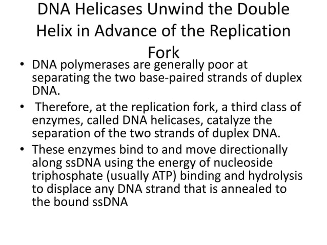THE MECHANISM OF DNA POLYMERASE & CHEMICAL NATURTE TOPIC OF MOLECULAR ...