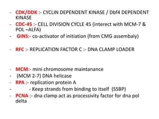 THE MECHANISM OF DNA POLYMERASE & CHEMICAL NATURTE TOPIC OF MOLECULAR ...