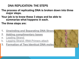 DNA Replication.ppt