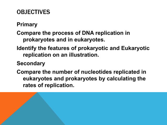 DNA Replication.ppt