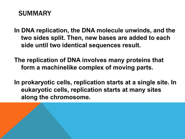 DNA Replication.ppt