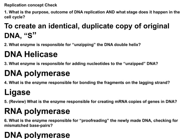 DNA Replication.ppt