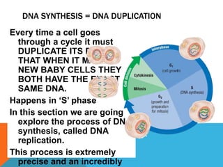 DNA Replication.ppt