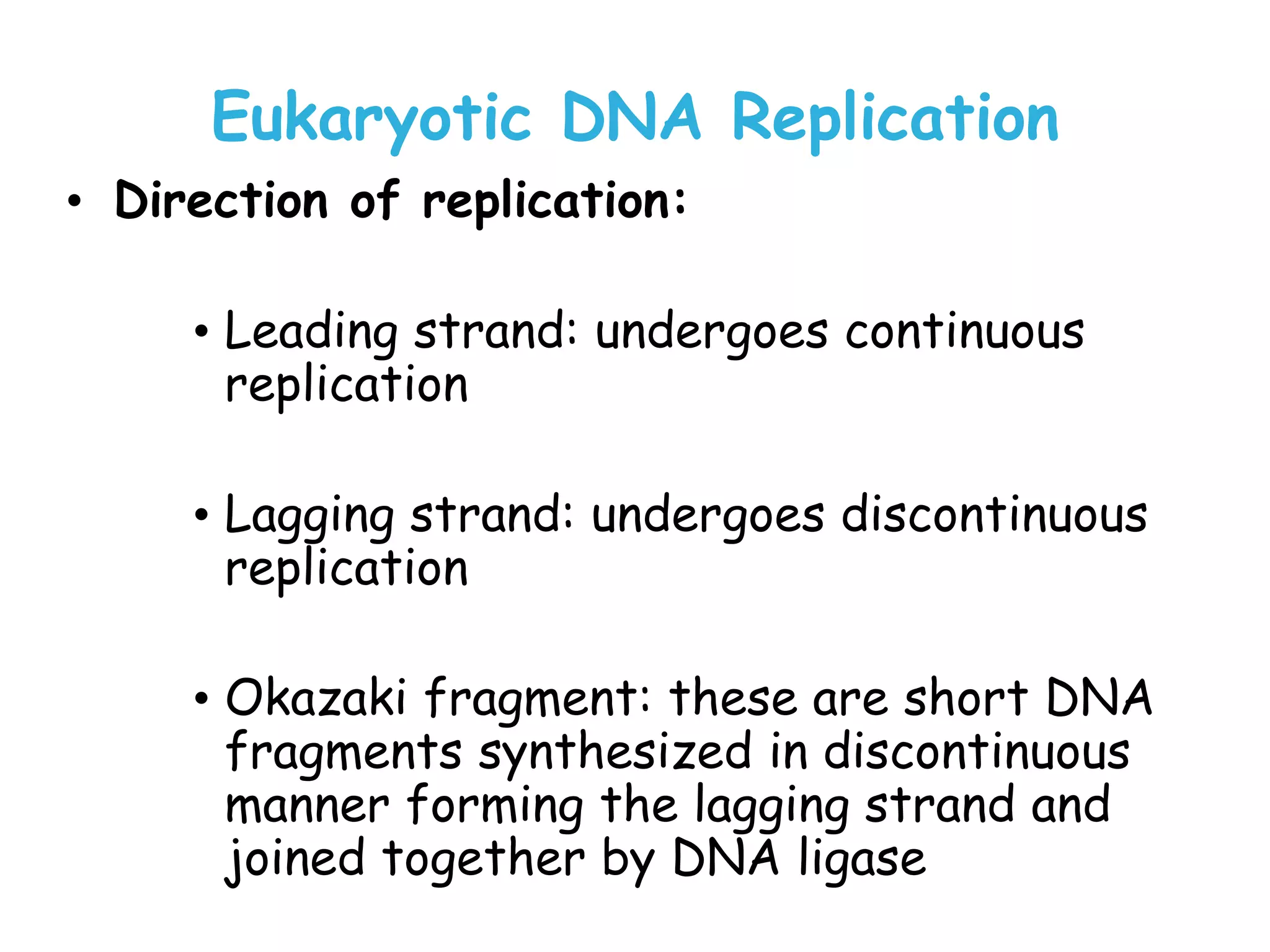 DNA REPLICATION.ppt