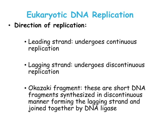 DNA REPLICATION.ppt