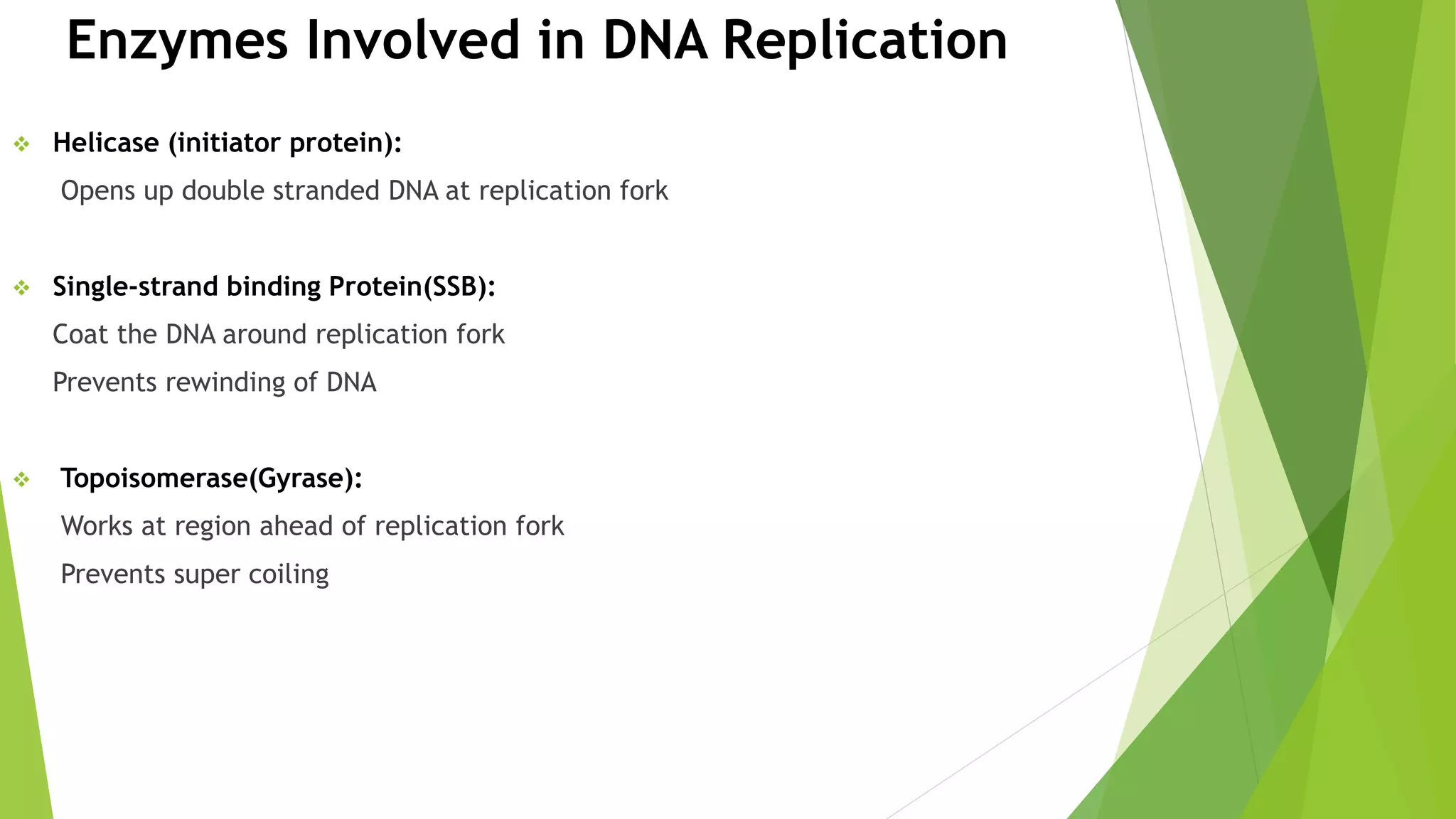 DNA replication.pptx