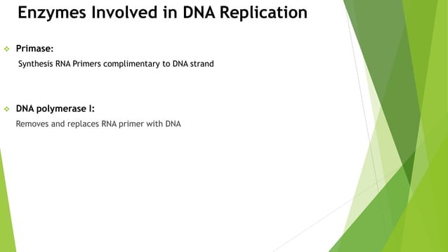Dna Replication Pptx