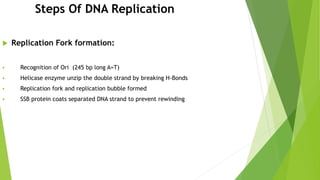 DNA replication.pptx