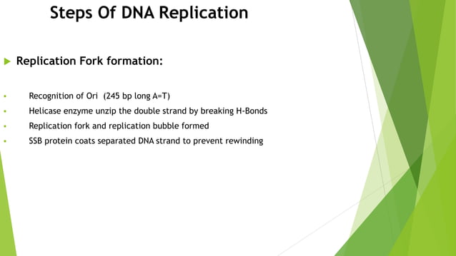 DNA replication.pptx