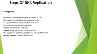 DNA replication.pptx