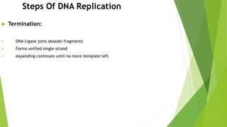 DNA replication.pptx