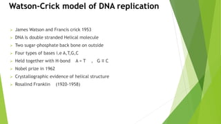 DNA replication.pptx
